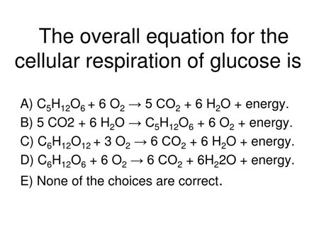 Glucose Equation