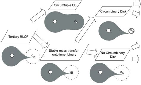 Flowchart Representation Of Some Possibilities Of How A Hierarchical Download Scientific