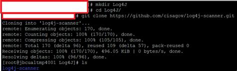 How To Use The Cisa Log4j Scanner