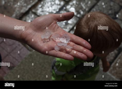 Woman Showing The Size Of The Hail Hitting The Ground As Hail Stock Photo Alamy