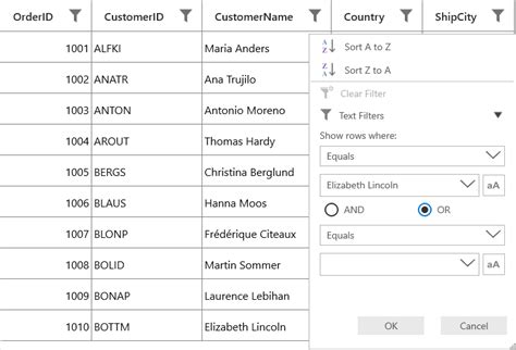 Filtering In Uwp Datagrid Control Syncfusion