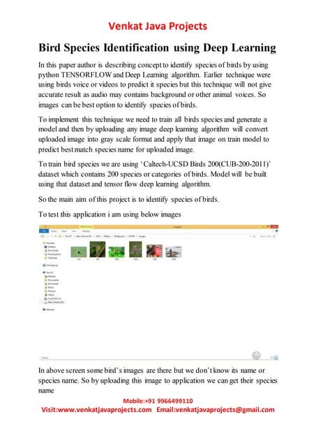 Bird Species Identification Using Deep Learning Docx