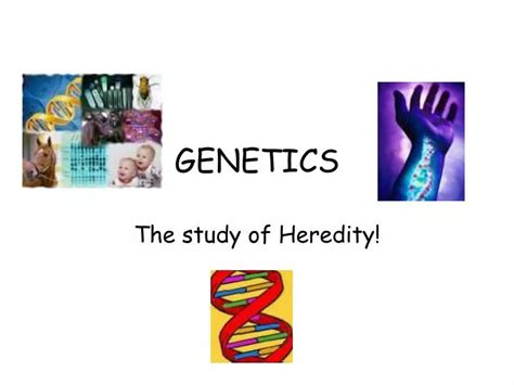 PPT GENETICS PowerPoint Presentation Free Download ID