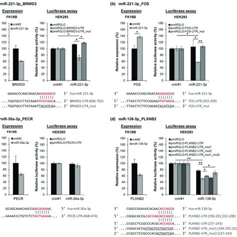 Confirmation Of Mirna Mrna Interactions Predicted Mirna Mrna