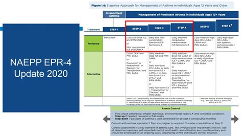 Asthma Part 3 Guidelines Based Management And Role Of Comorbidities