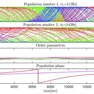 Numerical Simulation Of STDP Dynamics Of Two Populations With 120