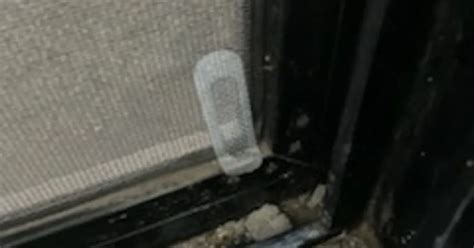 사진찍어서 다 보내주시고 꼼꼼하게 방역해주셨어요 배수구 거름망도 어떤게 좋은지 추천도 해주셨어요 계속 관리 받을 생각입니다 숨고 숨은고수