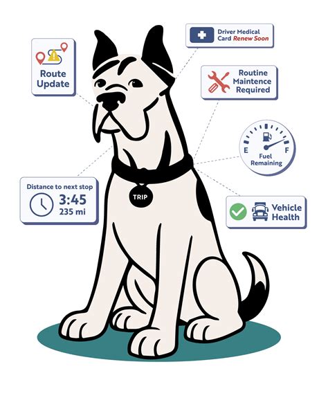Tripdawg® Technology Fleet Management Solutions Vlc