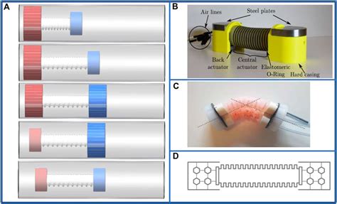 Frontiers Actuation And Design Innovations In Earthworm Inspired Soft Robots A Review