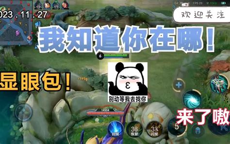 我知道你在哪，别躲猫猫了 王者荣耀炸天 王者荣耀炸天 哔哩哔哩视频