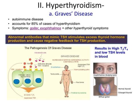 Thyroid Pathophysiology Scintigraphy[1] Pptx Thyroid Disorders Endocrine And Metabolic