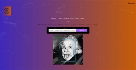 smartbrain narayan soni professional portfolio