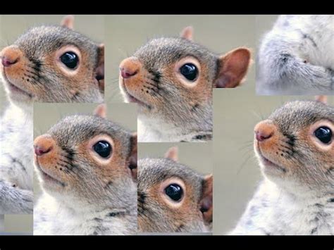 Linkedin Fix It L 페이지 슈퍼 단축키인 클립보드 단축키에 관한 내용입니다 예시는 이미지 편집의 경우이지만