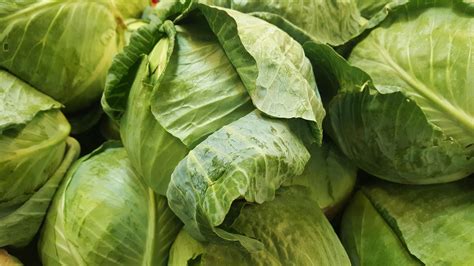 Cabbage Leafy Vegetable Free Photo On Pixabay