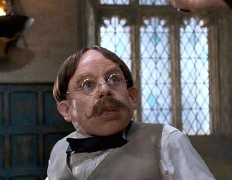 Professor Flitwick Filius Flitwick Photo 24682707 Fanpop