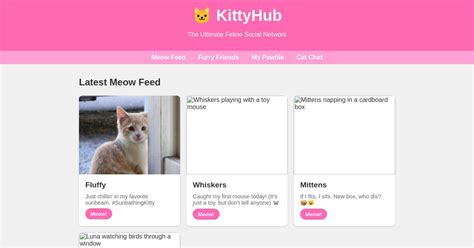 Kittyhub The Ultimate Feline Social Network