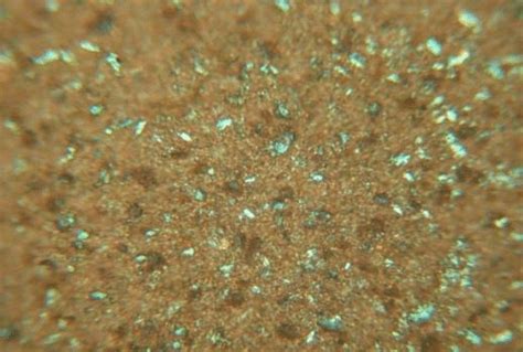 Optical Micrograph Showing Clear Bimodal Grain Distribution Download