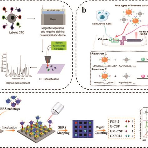 Barcode Enabled Multiplexing On Sers Microfluidic Systems A Michip