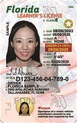 What Is Required For Teen Drivers For The Florida Learners Permit