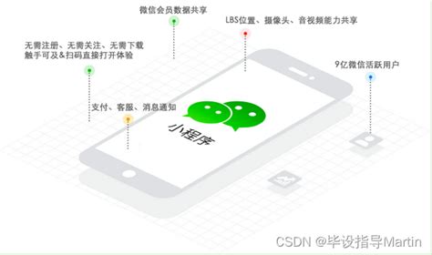 【三江学院毕业论文】 锋云速检微信小程序的设计与实现 Csdn博客