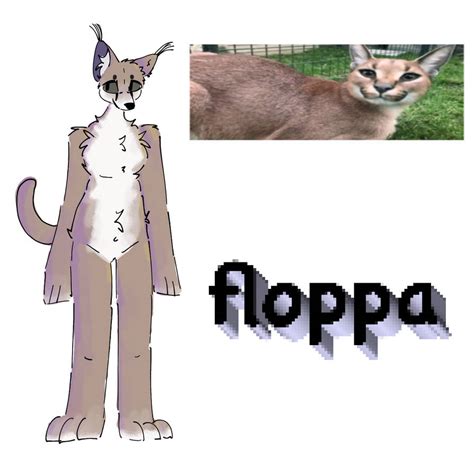 Floppa By Kaya11112 On Deviantart
