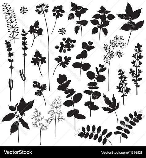 Plants Silhouette Royalty Free Vector Image Vectorstock