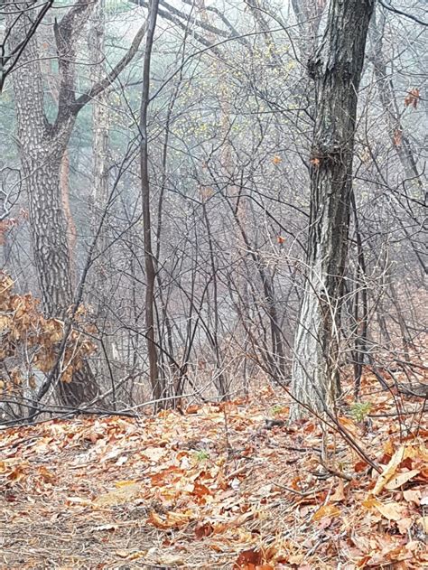 학교교육과정 편성·운영 평가의 과제 2020814 네이버 블로그