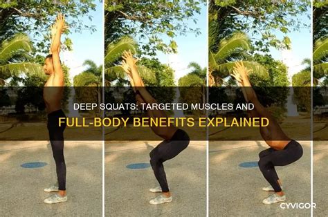 Deep Squats Targeted Muscles And Full Body Benefits Explained Cyvigor