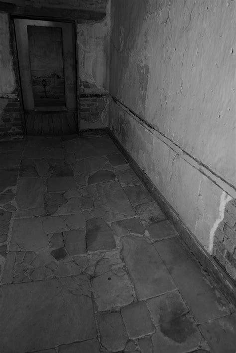 Dsc00706 Ian Timoney Flickr