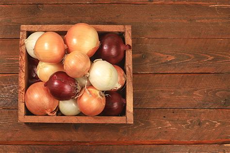 나무 배경에 상자에 담긴 다양한 종류의 양파 가을 수확 개념 농업에서 번식하기 위한 빨간색 흰색 황금색 양파 가을에 대한 스톡 사진 및 기타 이미지 Istock