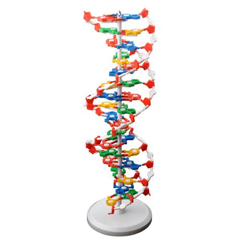 Dna Cm J