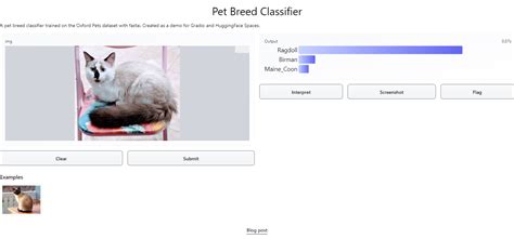 Dr Tanishq Abraham Gradio HuggingFace Spaces A Tutorial