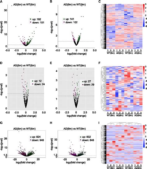 Figure 2 From Whole Transcriptome Analysis Of Appps1 Mouse Brain And Identification Of Circrna