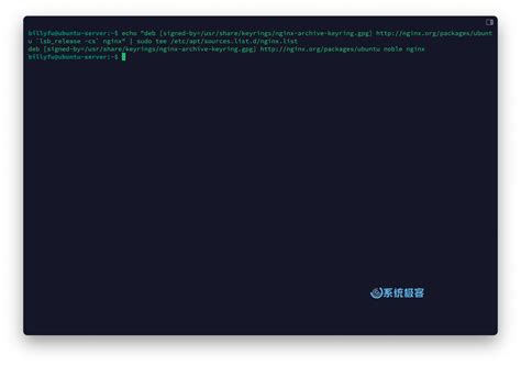 如何在 Ubuntu LTS 上安装 Nginx 稳定版或主线版本 系统极客