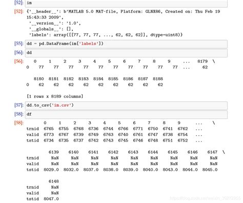 使用python将mat文件转成csv格式~虫虫~的博客 Csdn博客