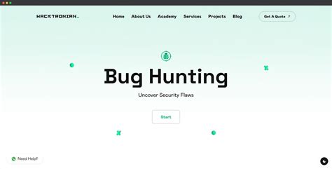 Bug Hunting Uncover Security Flaws HACKTRONIAN
