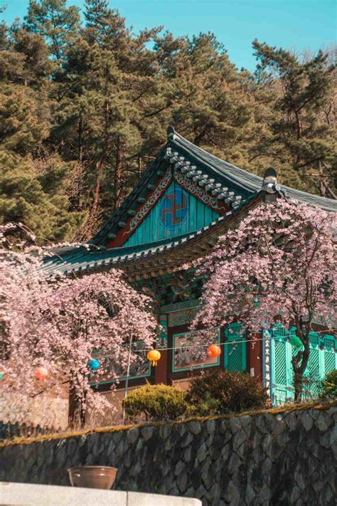 Gakwonsa Temple In Cheonan A Spring Fairytale Location
