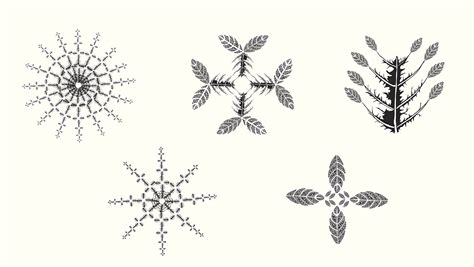 Leaf Project Behance Leaf Project Behance