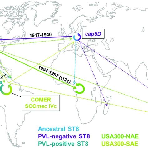 Pdf Origin Evolution And Global Transmission Of Community Acquired