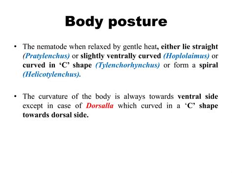 Morphology Of Nematodes Pptx