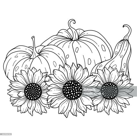 해바라기 라인 아트 일러스트레이션이 있는 호박 호박 배열 윤곽선 손으로 그린 그림 호박과 색칠 공부 페이지입니다 컬러링 북 페이지 일러스트레이션 기법에 대한 스톡 벡터 아트