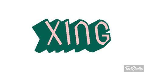 Xing Sosyal Ağ Animasyonlu  Logo Tasarımları