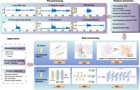 The Emg Signal Processing Procedures Download Scientific Diagram