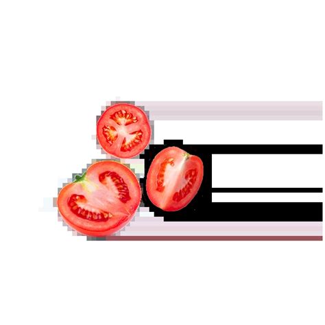 Aseptic Tomato Paste طبیعت سبز پارس کهن