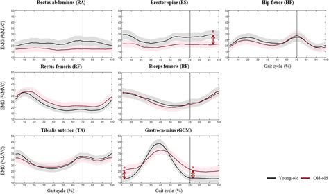 Figure From Effect Of Gait Cycle Selection On Emg Analysis 57 Off