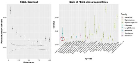 Fine Scale Genetic Structure Fsgs In Brazil Nut Trees Left Spatial Download Scientific