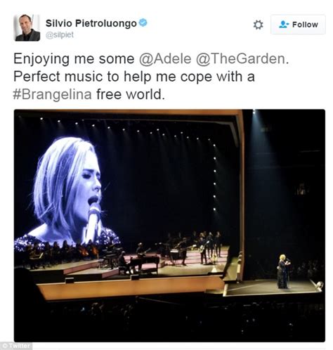 Adele Dedicates Madison Square Garden Gig To Brad Pitt And Angelina Jolie Split Daily Mail Online
