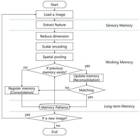 Memory Model Remembering The Morphological Semantics Of Visual Stimuli Download Scientific