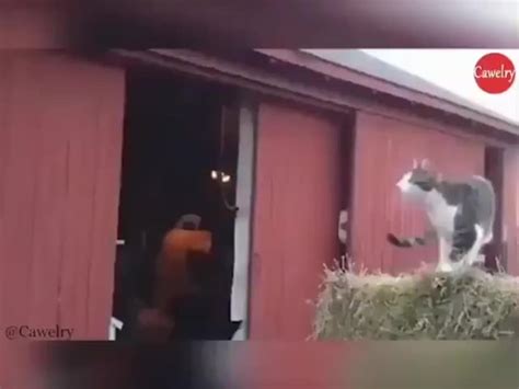 Calculating Vector Rextra