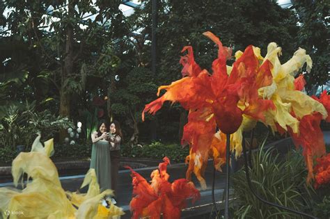 싱가포르 쥬얼 창이공항 어트랙션 티켓 클룩 Klook 한국